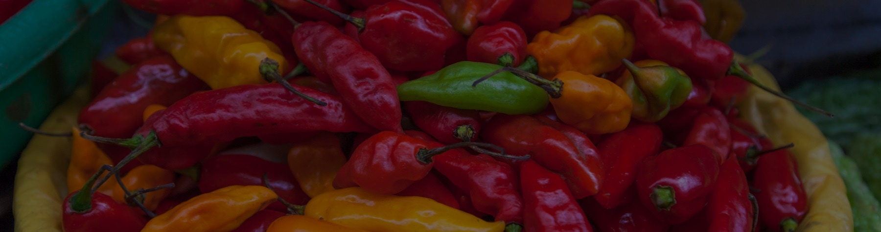 The Best Lima Street Food Tour In 2020 | Reviewed