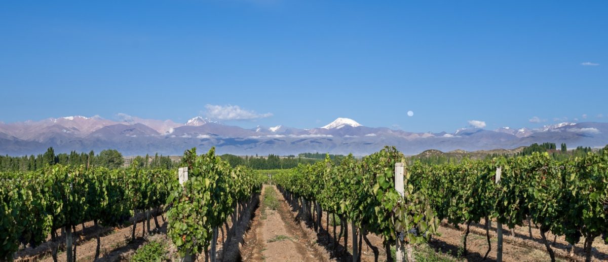 Your Guide to a Luxury Vacation in Mendoza Wine Region | Totally Latin ...
