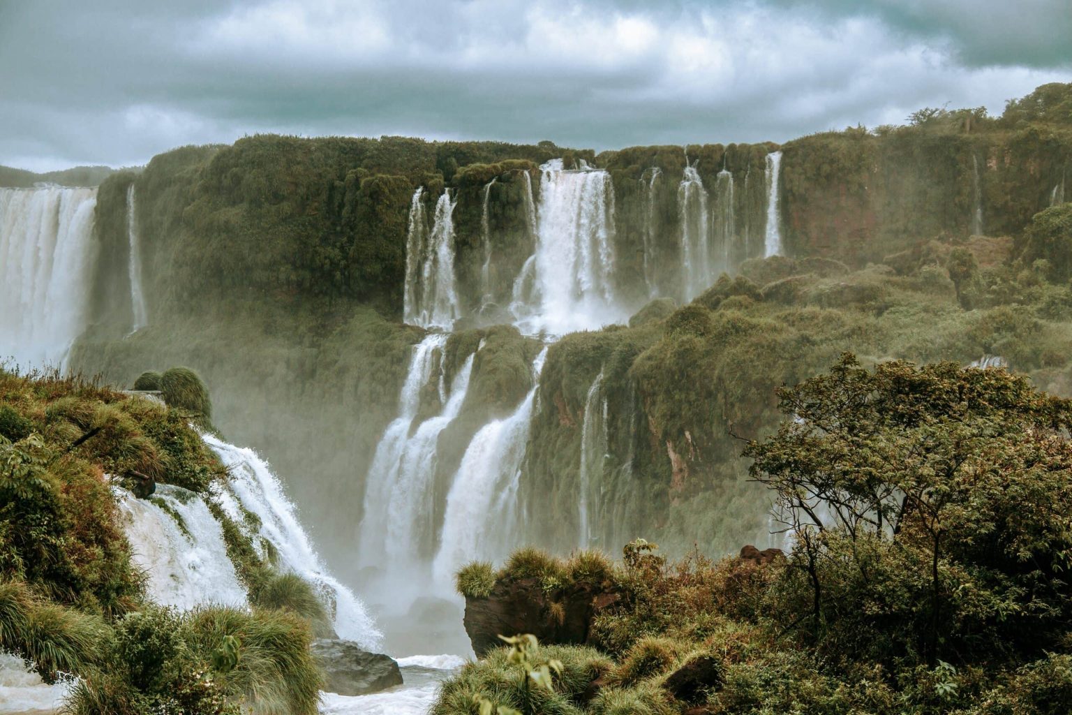 Best Time to Visit the Amazon Jungle: Month by Month | Totally Latin ...