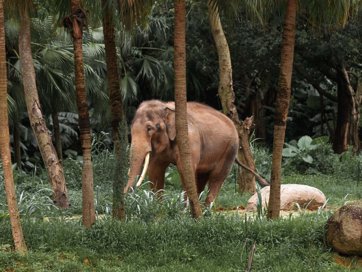 Best Time to Visit the Amazon Jungle: Month by Month | Totally Latin ...